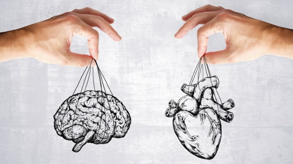 Essential Guide Appeal To Emotion Fallacy With Examples Fallacy In Logic